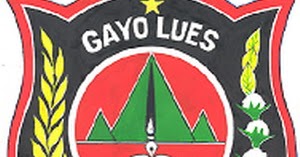 PROFIL KOTA-KABUPATEN: Kabupaten Gayo Lues