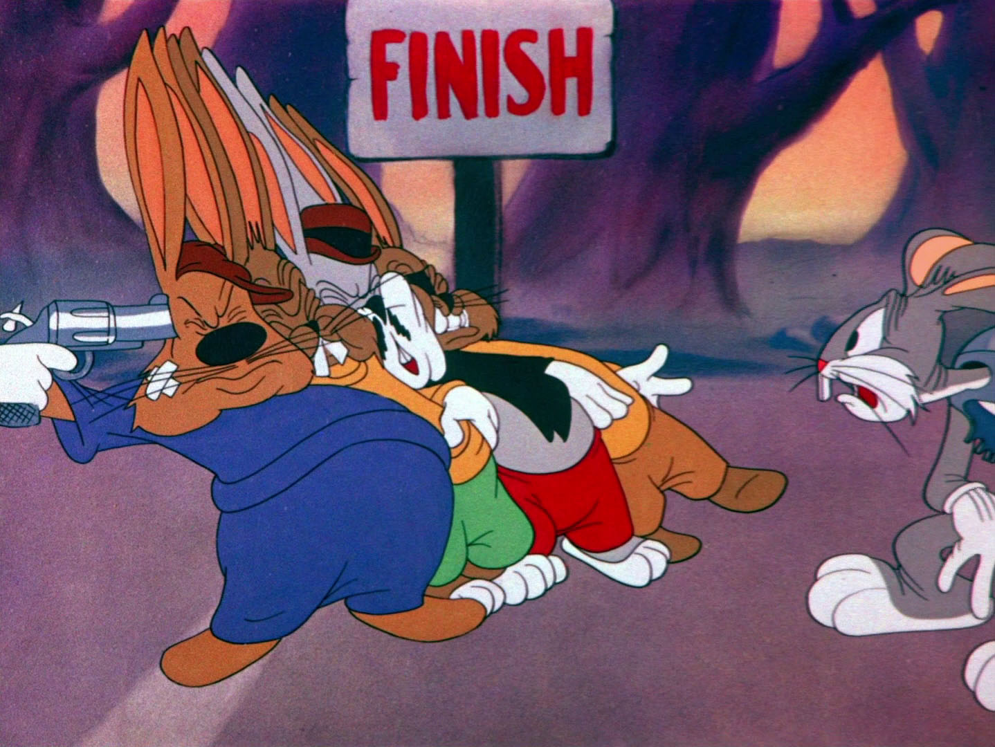 Tortoise Wins by a Hare - Alchetron, the free social encyclopedia