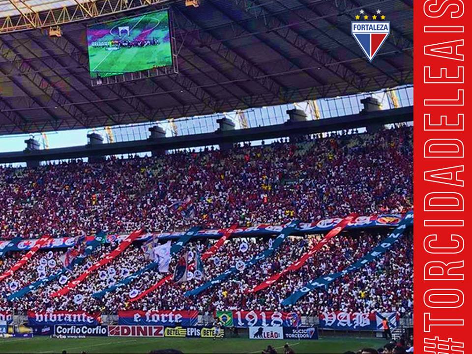 Le o Do Pici Pra Sempre Vou Te Amar NA O TRICOLOR M DIA DE 22000 le-o-do-pici-pra-sempre-vou-te-amar-na-o-tricolor-m-dia-de-22000