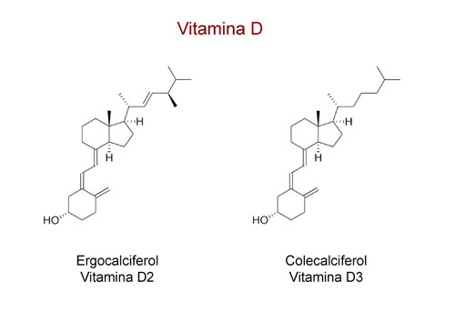 blog-bioquimica: Coenzimas y Vitaminas