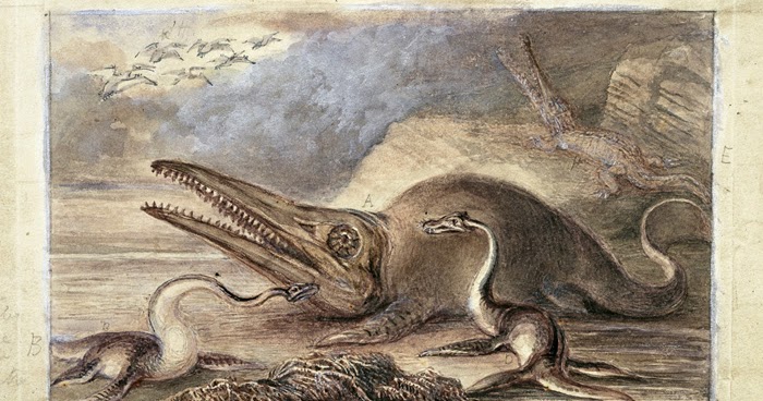 Mark P. Witton's Blog: Walking with ichthyosaurs: the amphibious ...