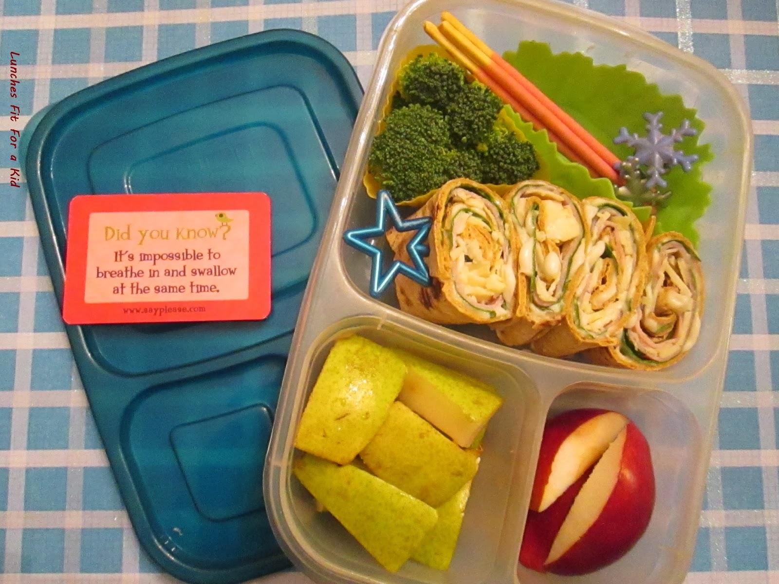 Lunches Fit For a Kid: Lunches: 1.6.14
