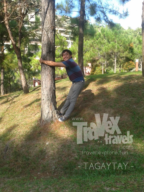 Swiss Architecture and Pine Trees in Tagaytay Crosswinds - Travex ...