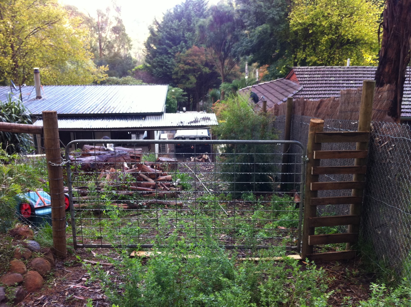 Tim the Garden Farmer: Chicken proof fence needed to keep chooks out of ...