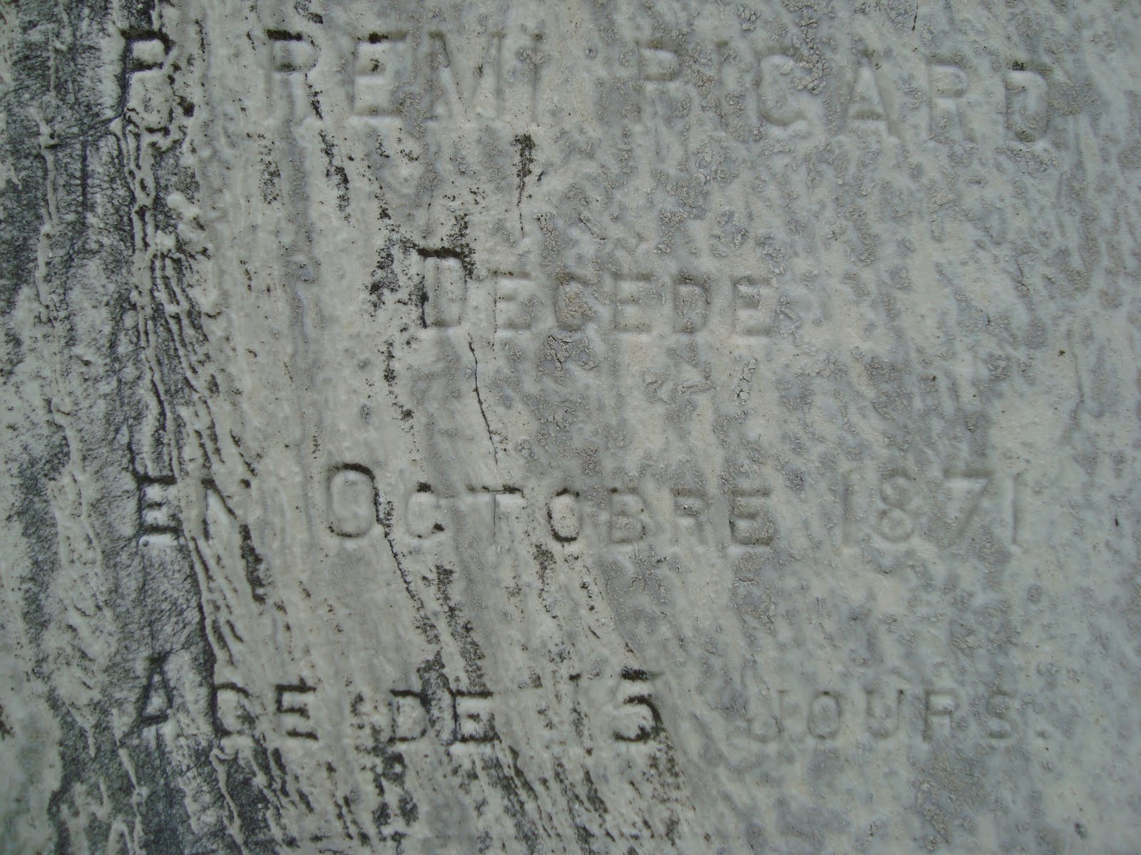 Whispers Beyond the Stone: Notre-Dame Cemetery, Fall River: Sec. 8 - J ...