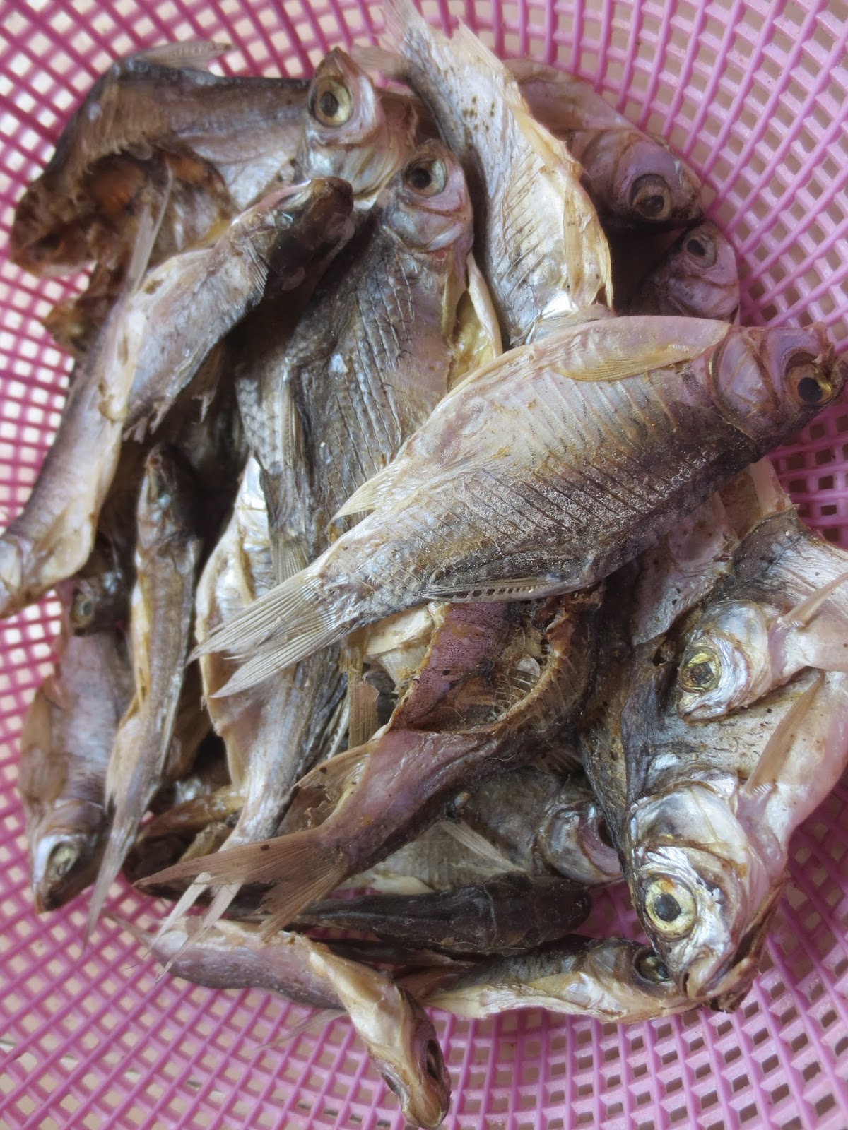 Suria Helang Lui: Tasty dried, lightly salted lampan