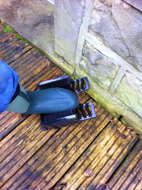 The London Vegetable Garden: Boot-Scrapers: Keeping the Outdoors, Outdoors!