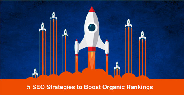 Codetoils Blog: 5 Best Ways to Boost your Organic Results