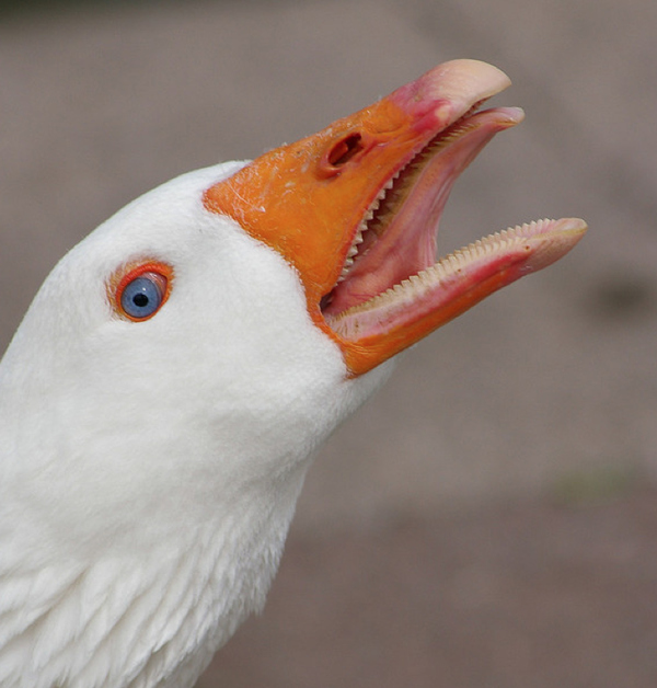 See more Share on Facebook