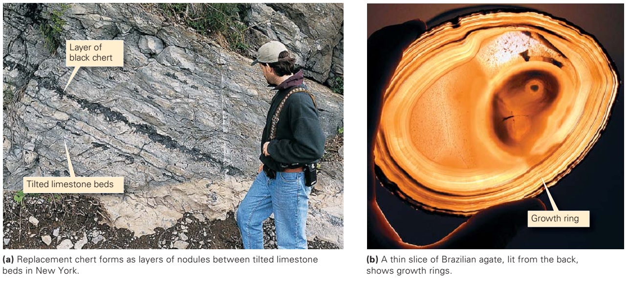 Learning Geology: Classes of sedimentary rocks