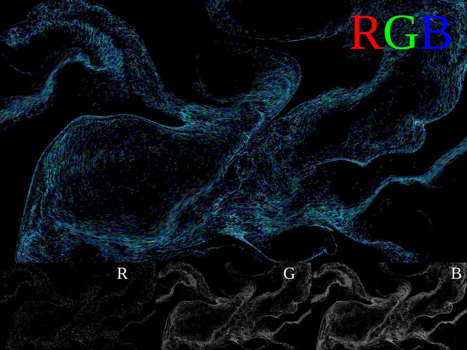 The Working Man: FLOW – The Making of the Film