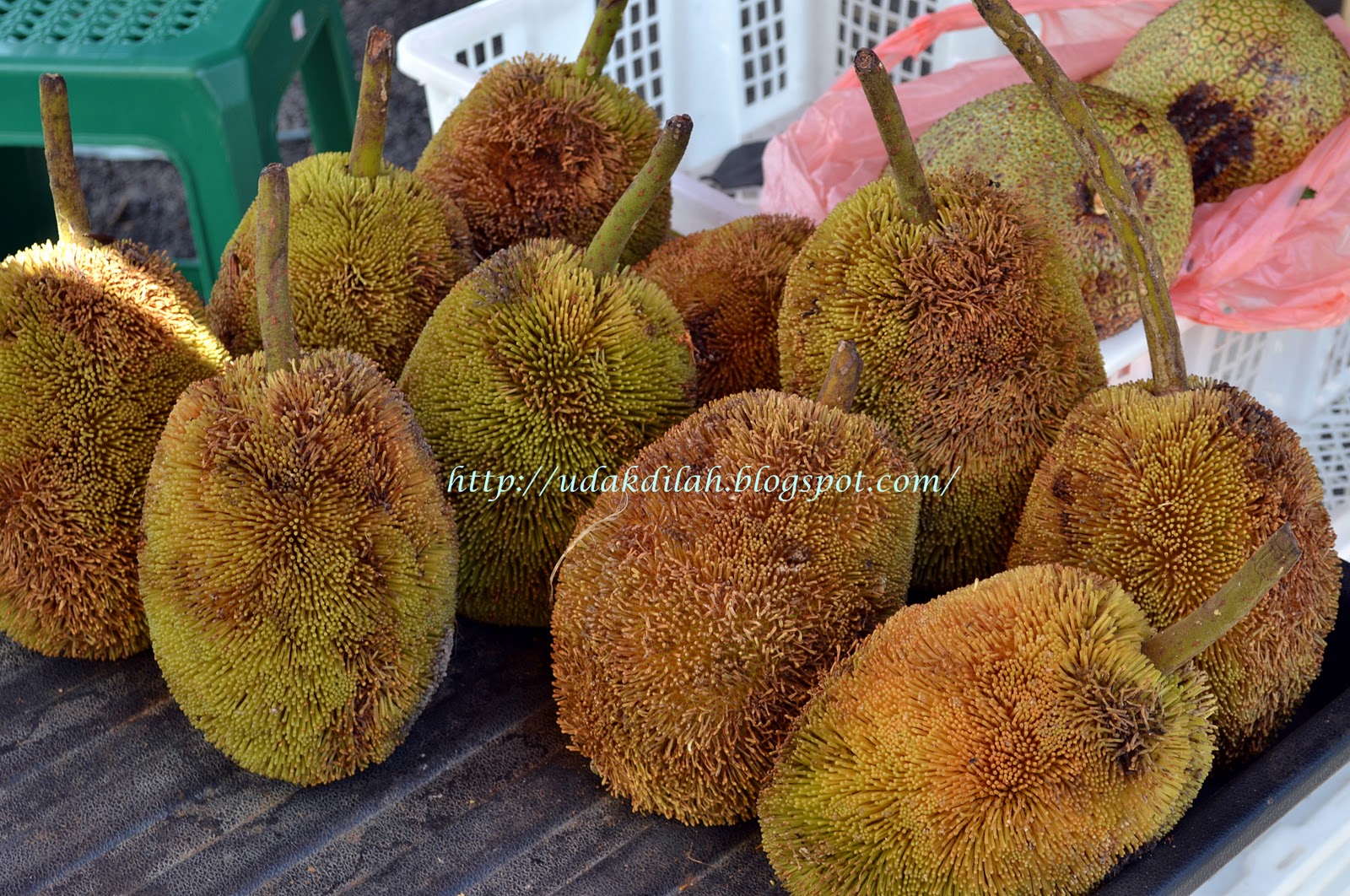 BeLoyaR Bersama Udak Dilah: Buah Terap Lawas