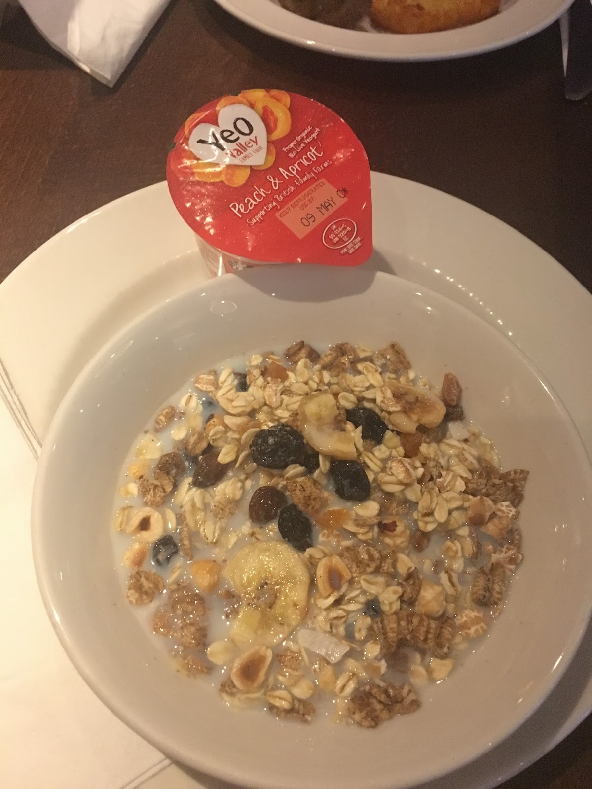 Milligan Florida Holiday Blog