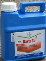 Petak Semai: HARGA RACUN RUMPAI DIMALAYSIA