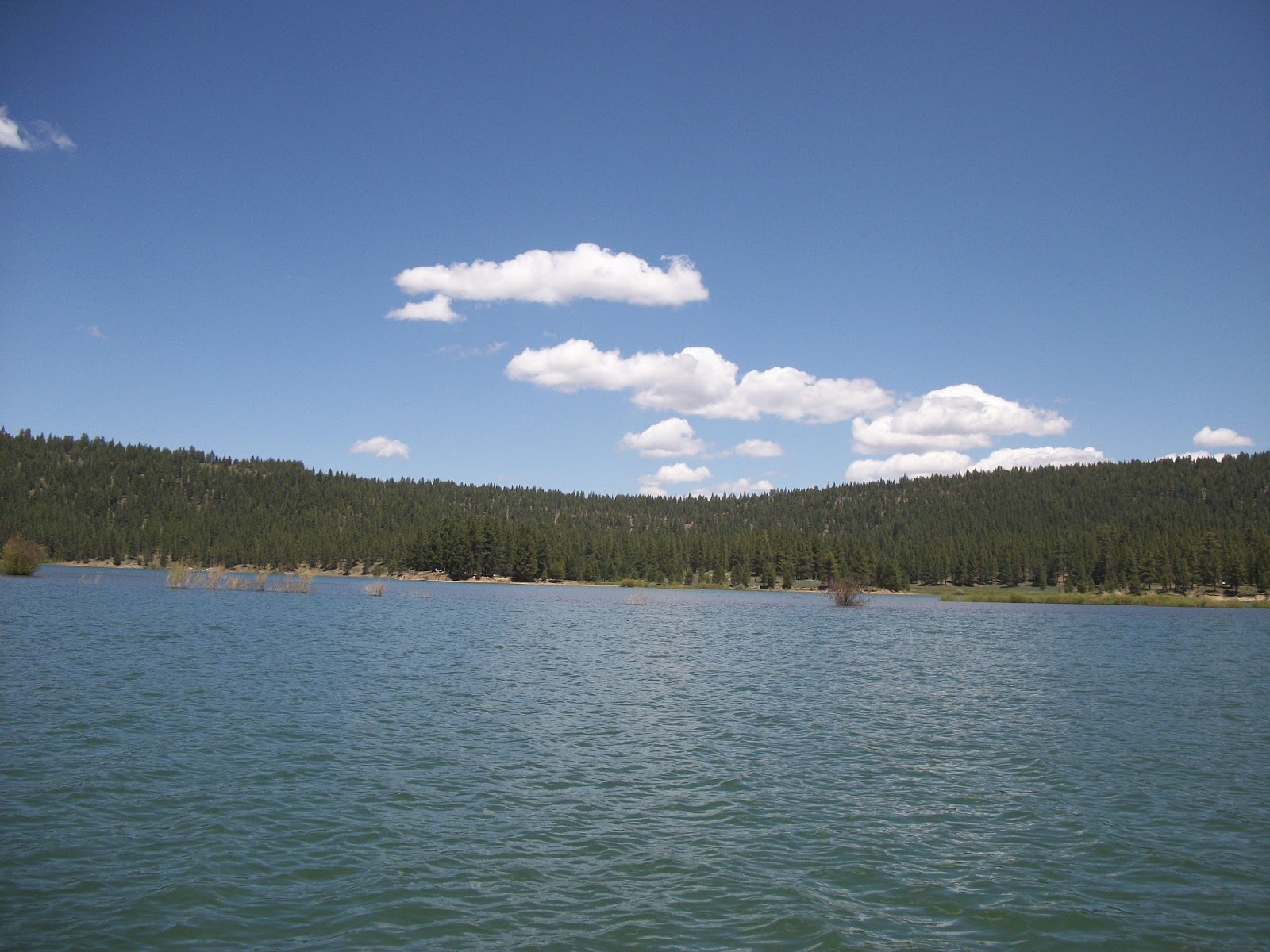 Jon Baiocchi Fly Fishing News: Lake Davis Update 5/27