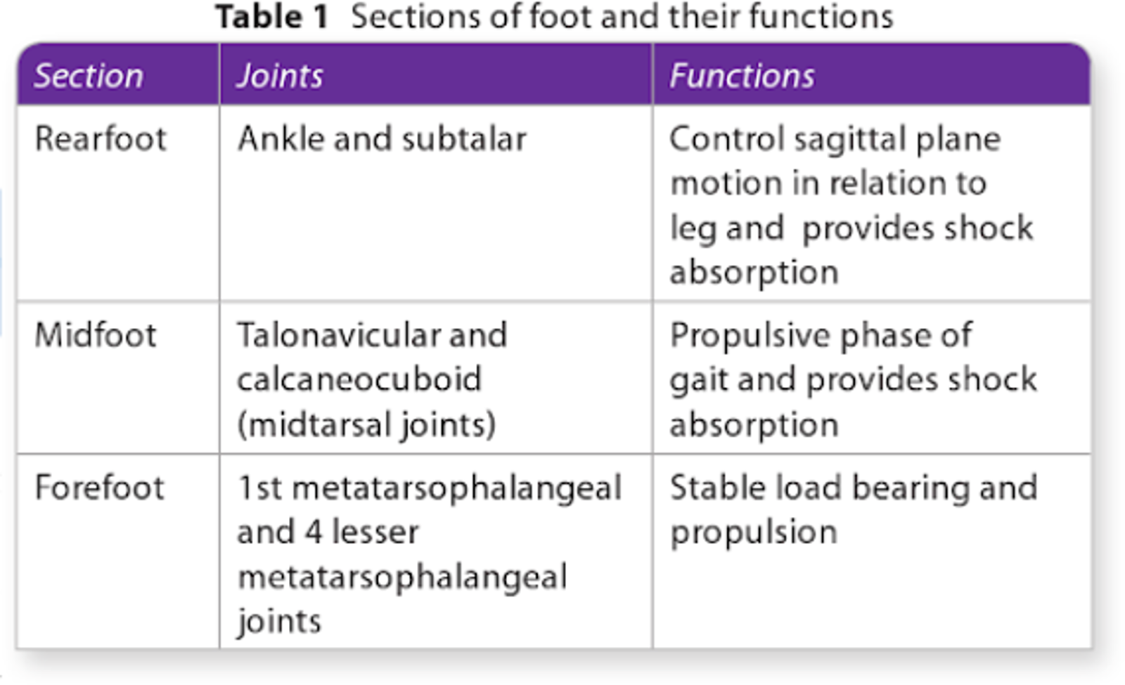 Hari's Random Thoughts by Hariharan Ramamurthy: Sections of foot and ...
