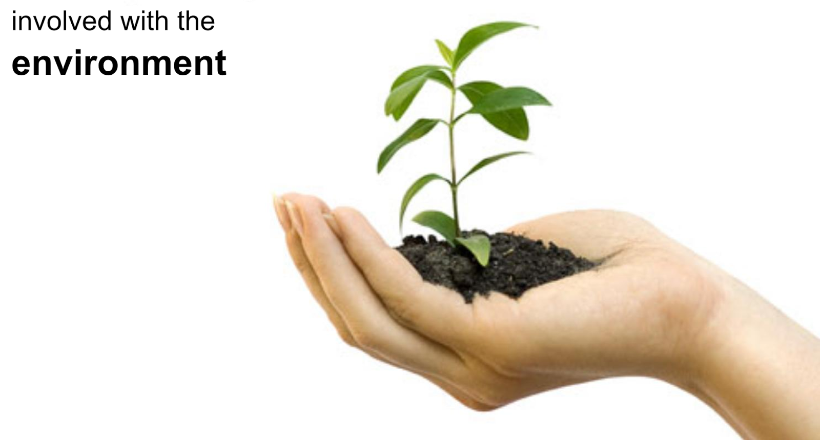 UP AND AWAY WORLD ENVIROMENTAL DAY 2016 up-and-away-world-enviromental-day-2016
