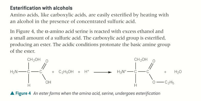 savvy-chemist: Condensation Polymers (3) Amino acids and Proteins
