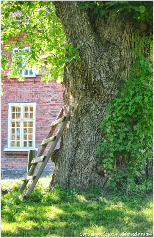 Hallatar : Fiskars ruukki