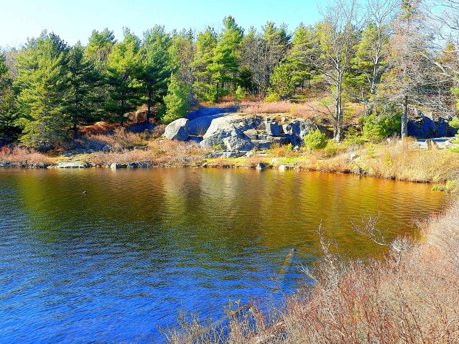 ABANDONED TRAILS OF ACADIA NATIONAL PARK: ABANDONED WITCH HOLE POND ...