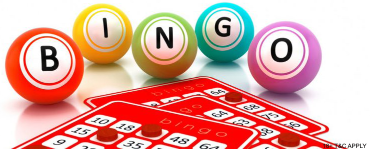 Things You Require To Know About Online Bingo