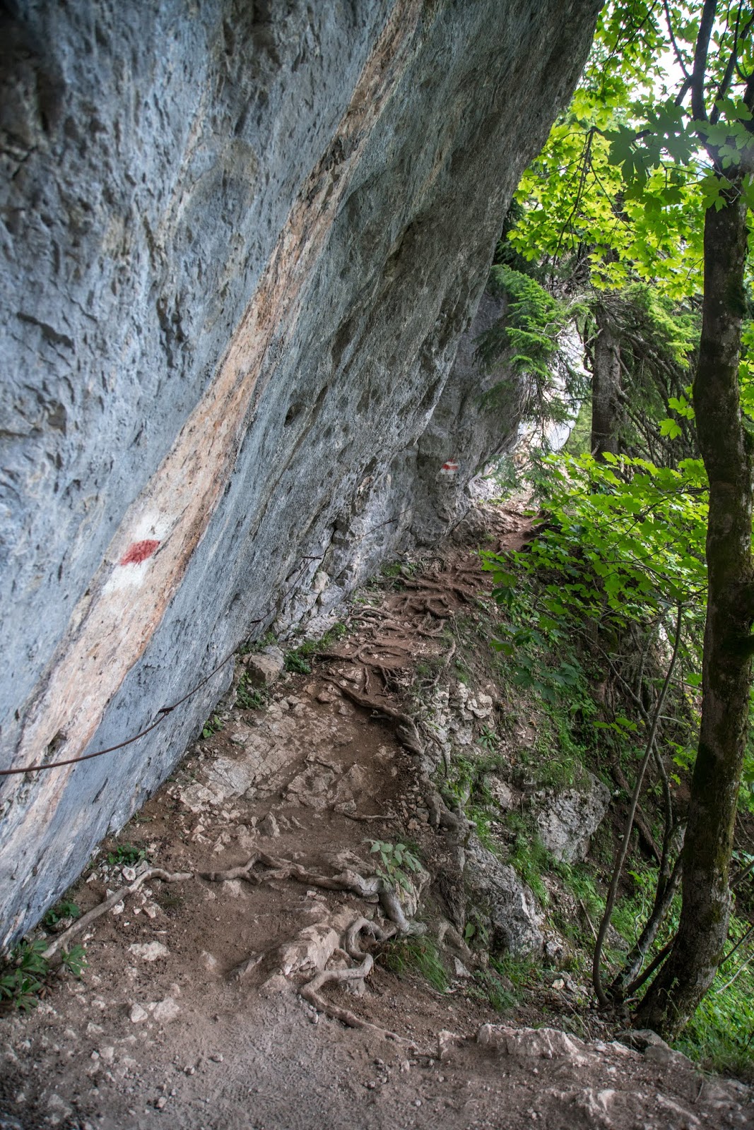 Silberkarklamm Rundweg "Wilde Wasser" und Klettersteige | Ramsau am ...