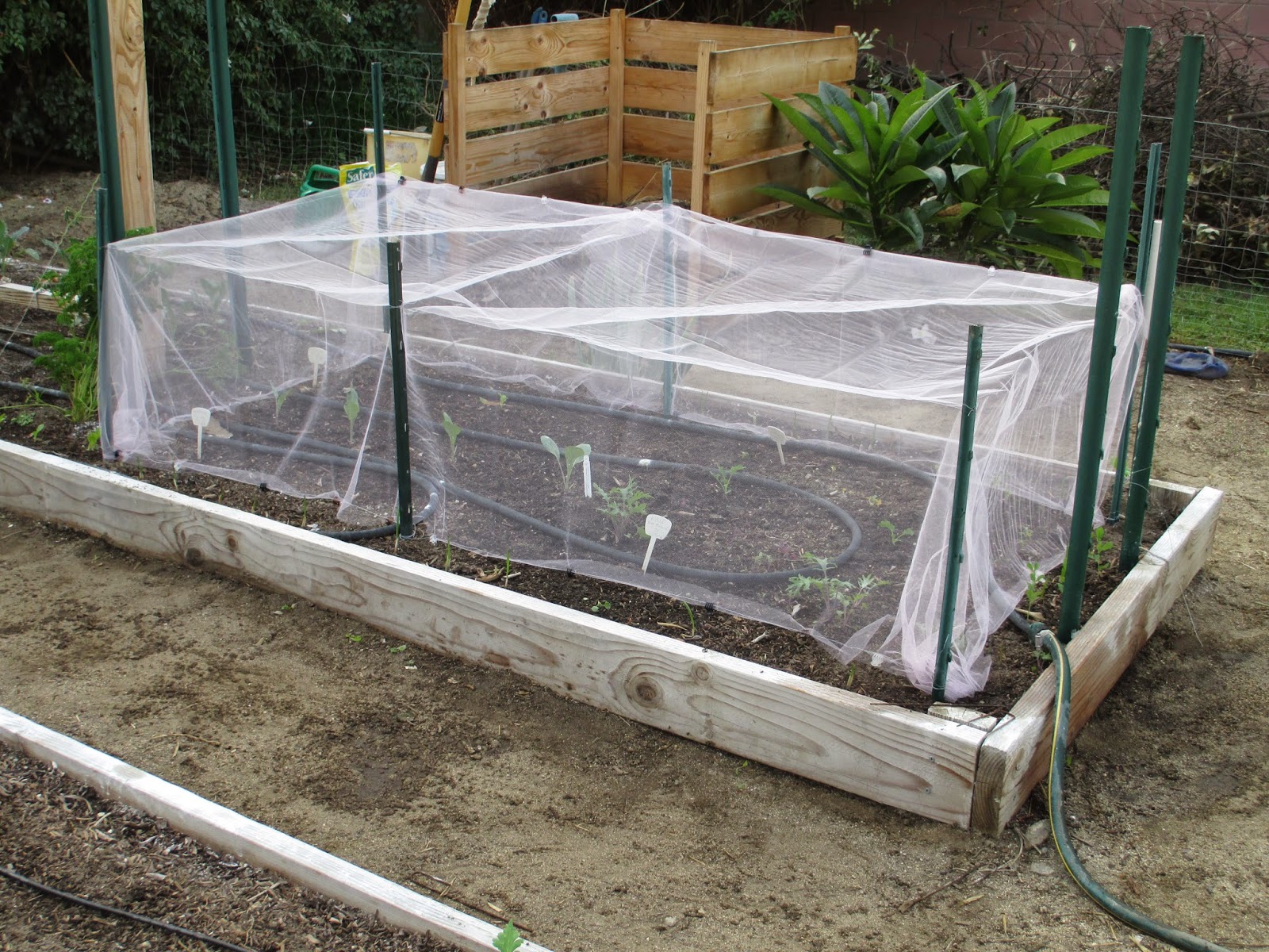Andie's Way: Making Bigger Cabbage Row Covers