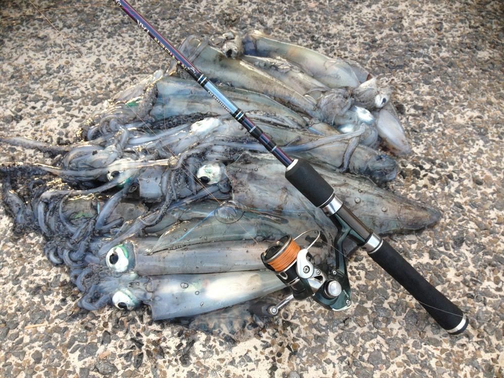 kayak Fishing - Love that yak: Squid Fishing in the Hobie Kayak at Wallaroo