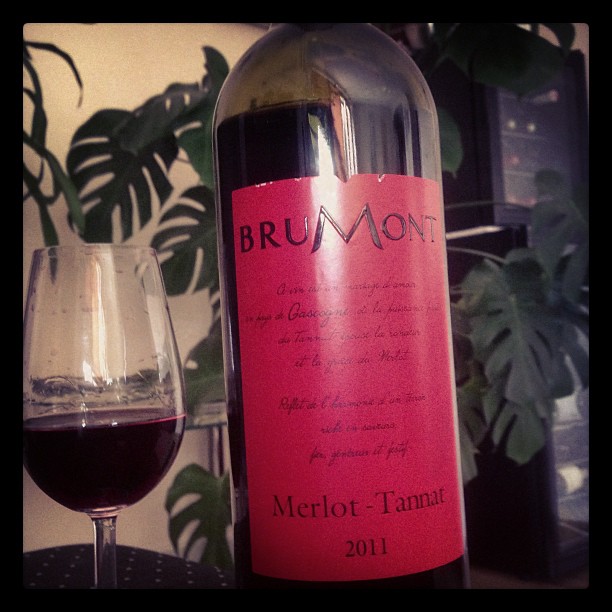 Brumont Merlot Tannat 2011 - D'Agos Fine Wines