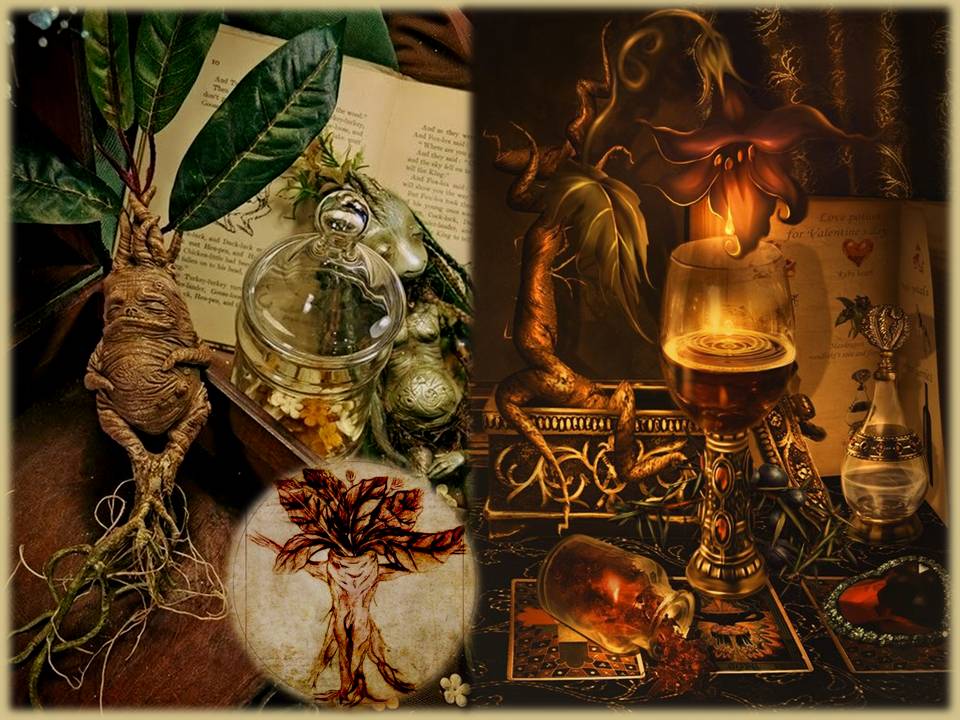 MANDRÁGORA: LEYENDA, PROPIEDADES Y EFECTOS