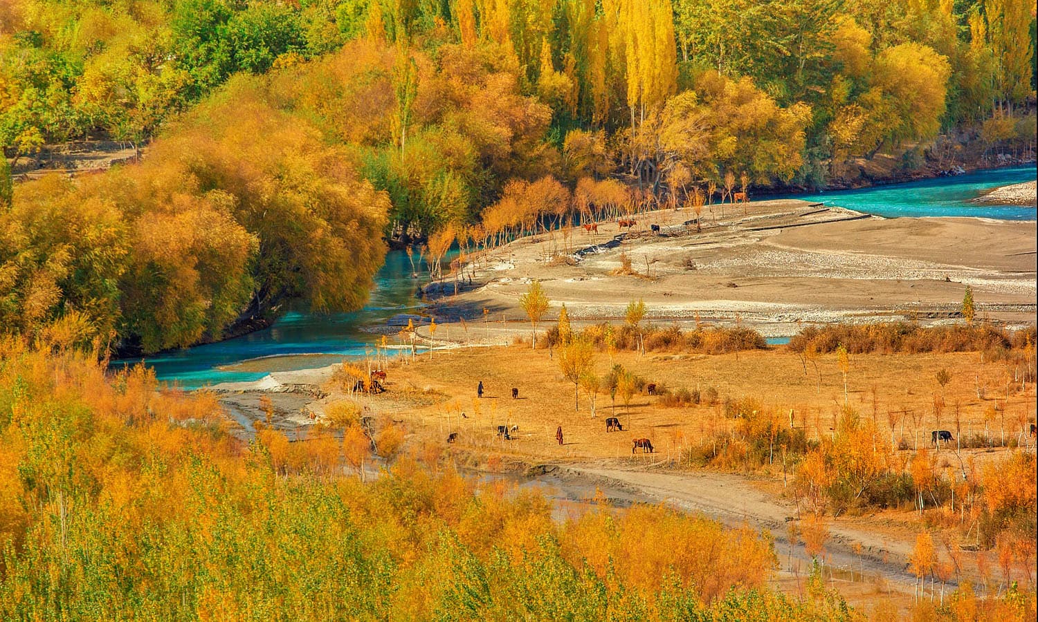 14 best places of Gilgit-Baltistan to visit in Autumn - Trango Tours