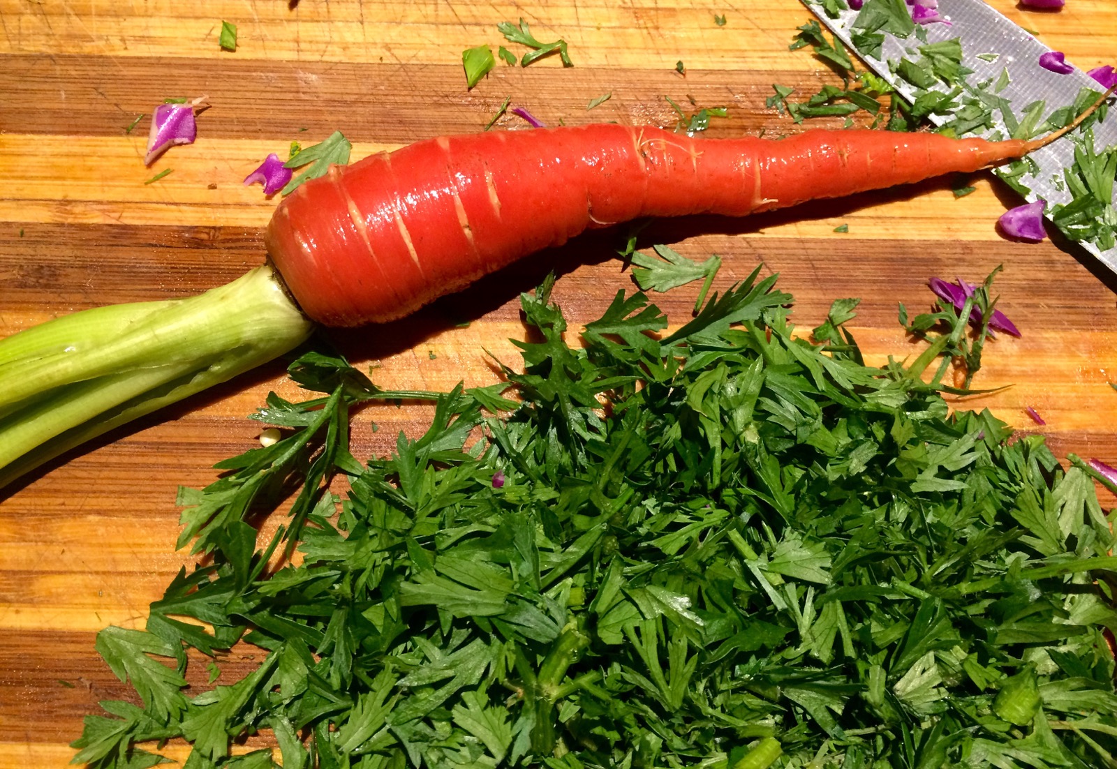 Our Permaculture Life 5 Uses For Your Carrot Greens our-permaculture-life-5-uses-for-your-carrot-greens