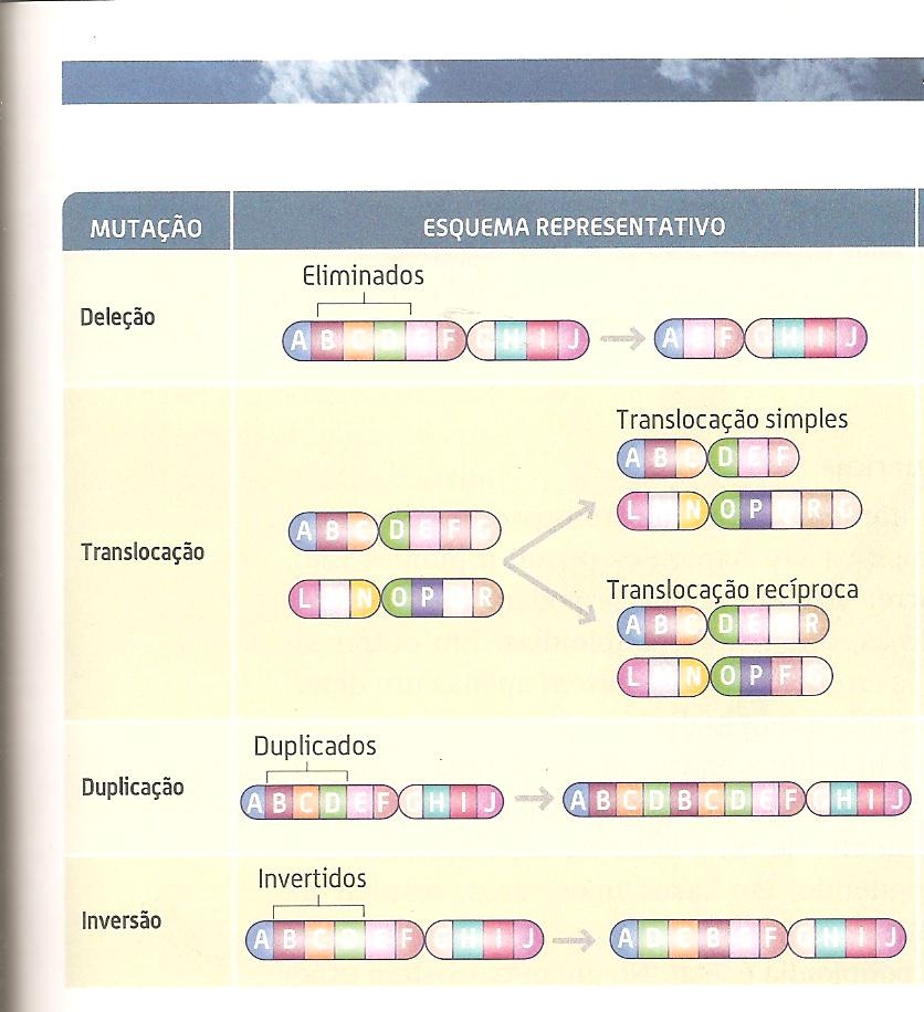 : Os Agentes Mutagénicos na Vida