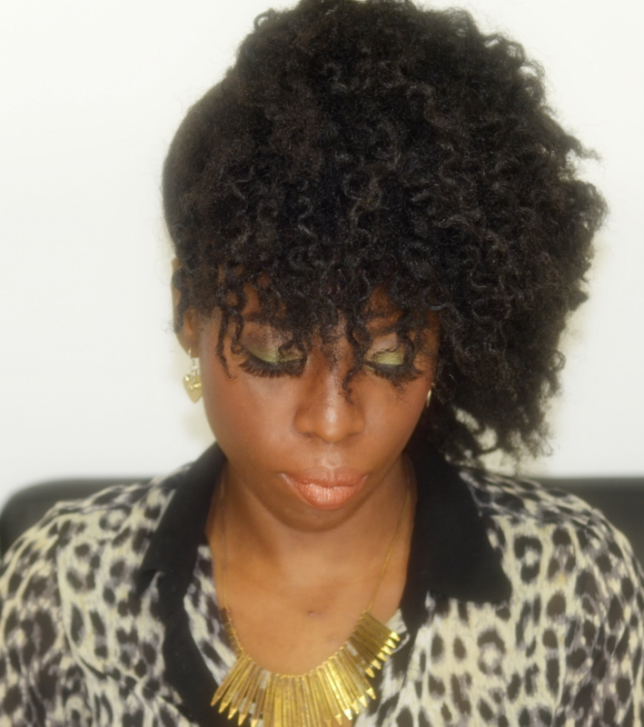 5 Simple Funky Updos On Natural Hair