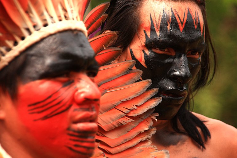 Conheça o urucum e seus poderosos benefícios! - Vivendo Bem Feliz