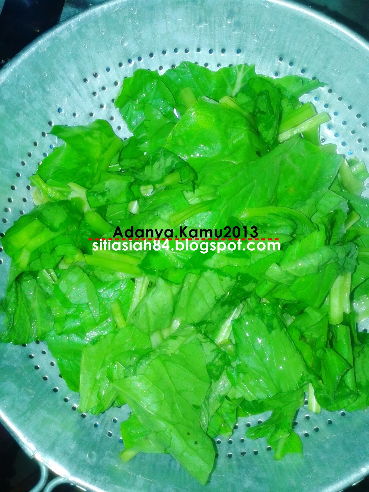 Adanya Kamu: :: Petua : Segarkan Sayur Yg Layu