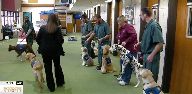 Wounded Times: Prisoners inspired by training service dogs