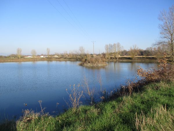 Sud-ouest Toulousain Randonnées: LONGAGES : Lac de la Linde
