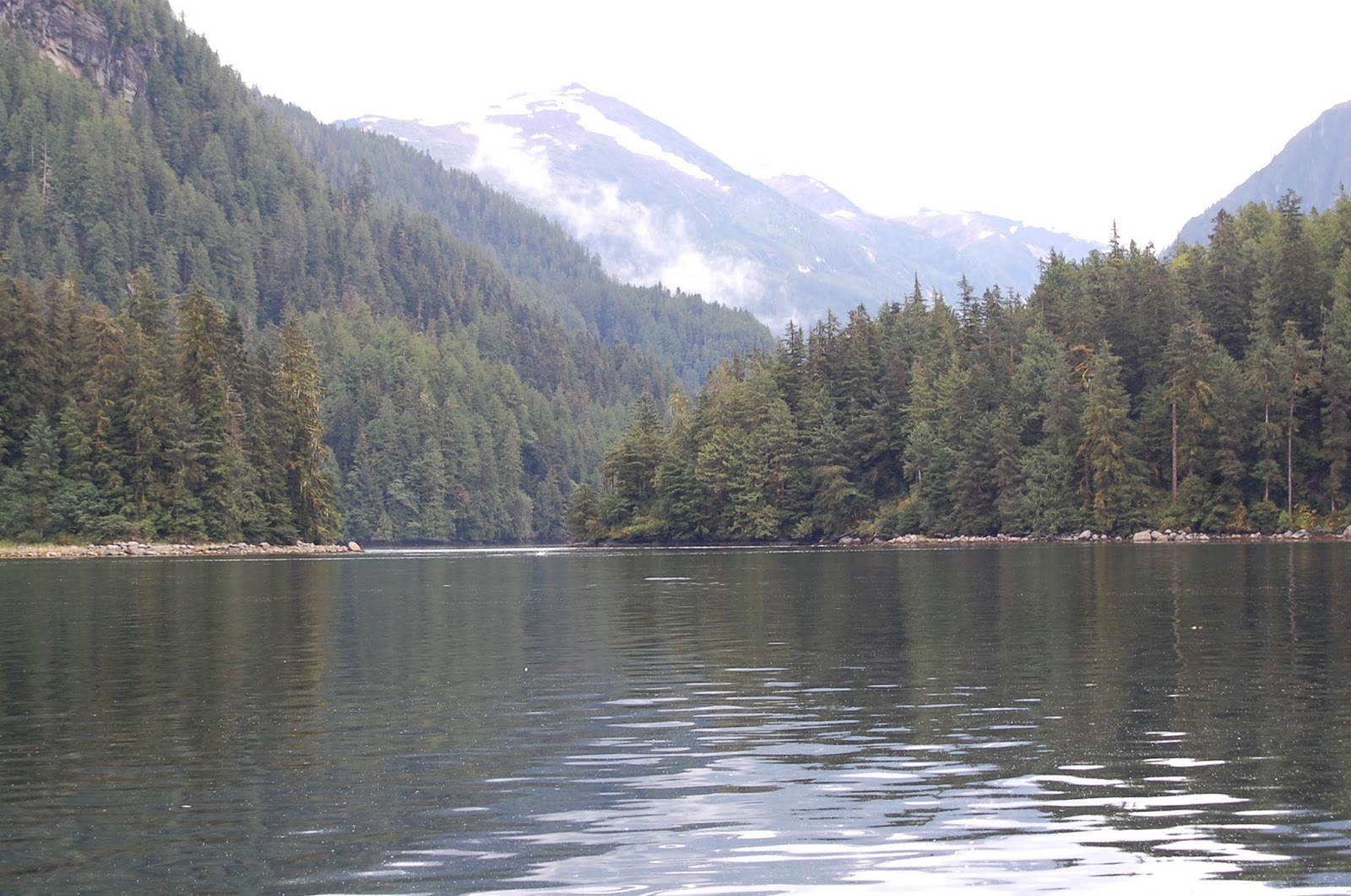 Adventure to Alaska!: Fiordland, Kynoch Inlet/Culpepper Lagoon, 08.24.2013