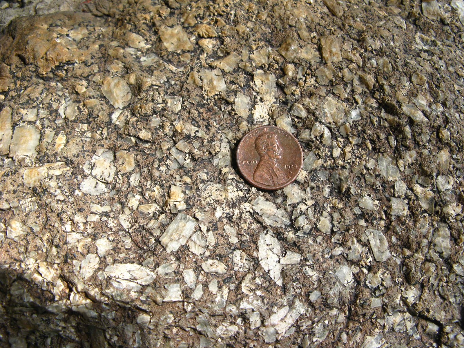 In the Company of Plants and Rocks: Wyoming's Exotic and Enigmatic ...