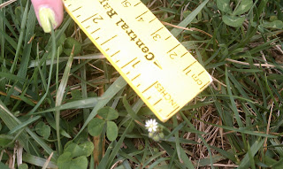 Science Gal: How do you recognize parts of an inch?