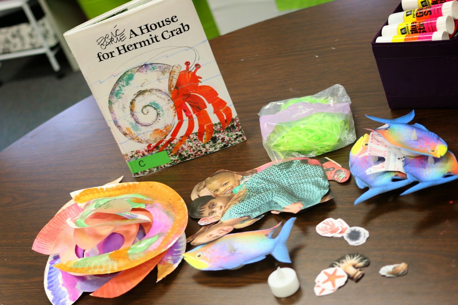 Teach Them To Fly: A House for a Hermit Crab