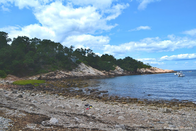 Katie Wanders : Diving Folly Cove- Gloucester, Massachusetts