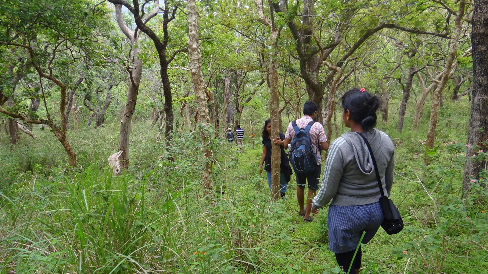 Sathyamangalam Tiger Reserve and Germalam Trek