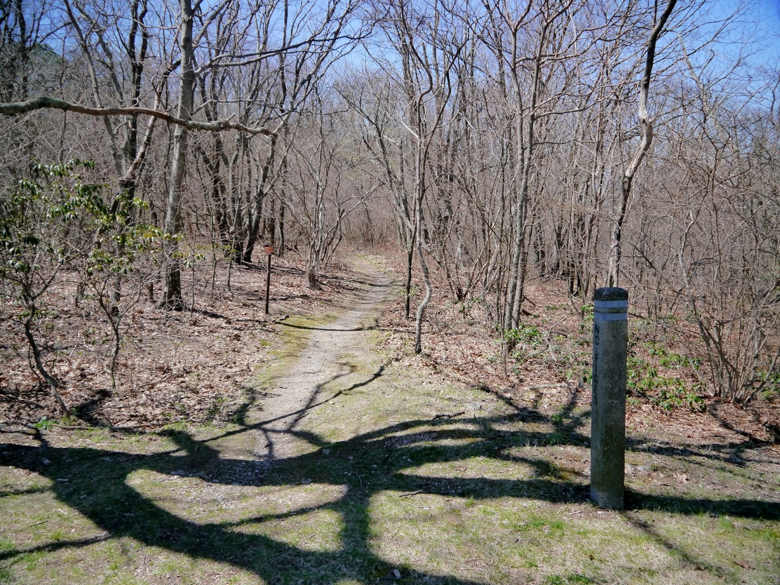 American Travel Journal: Wildcat Ridge Trailhead to Riprap Trailhead ...