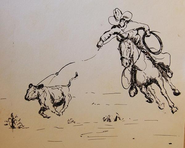 Theridion: The Cowboy's Lasso