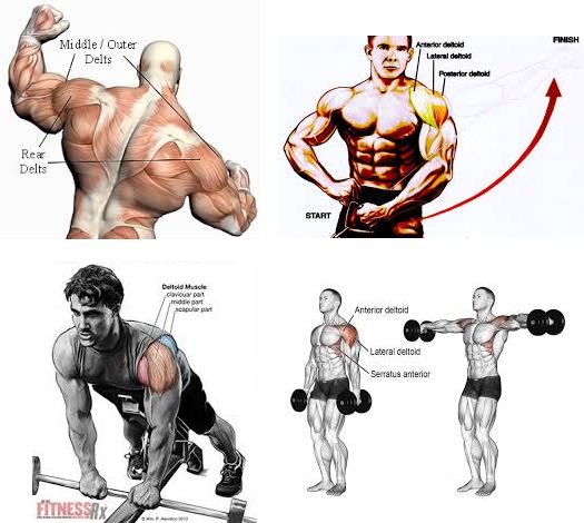 Best Shoulder Training For Huge Delts ~