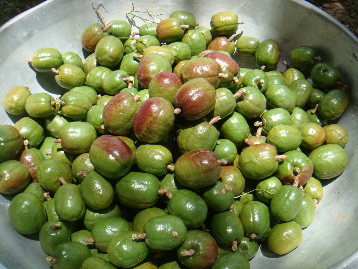 ChamoruBoy: September 2011