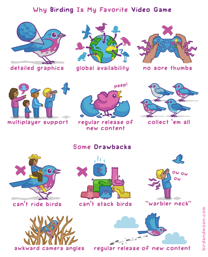 Birds in the news and a new comic