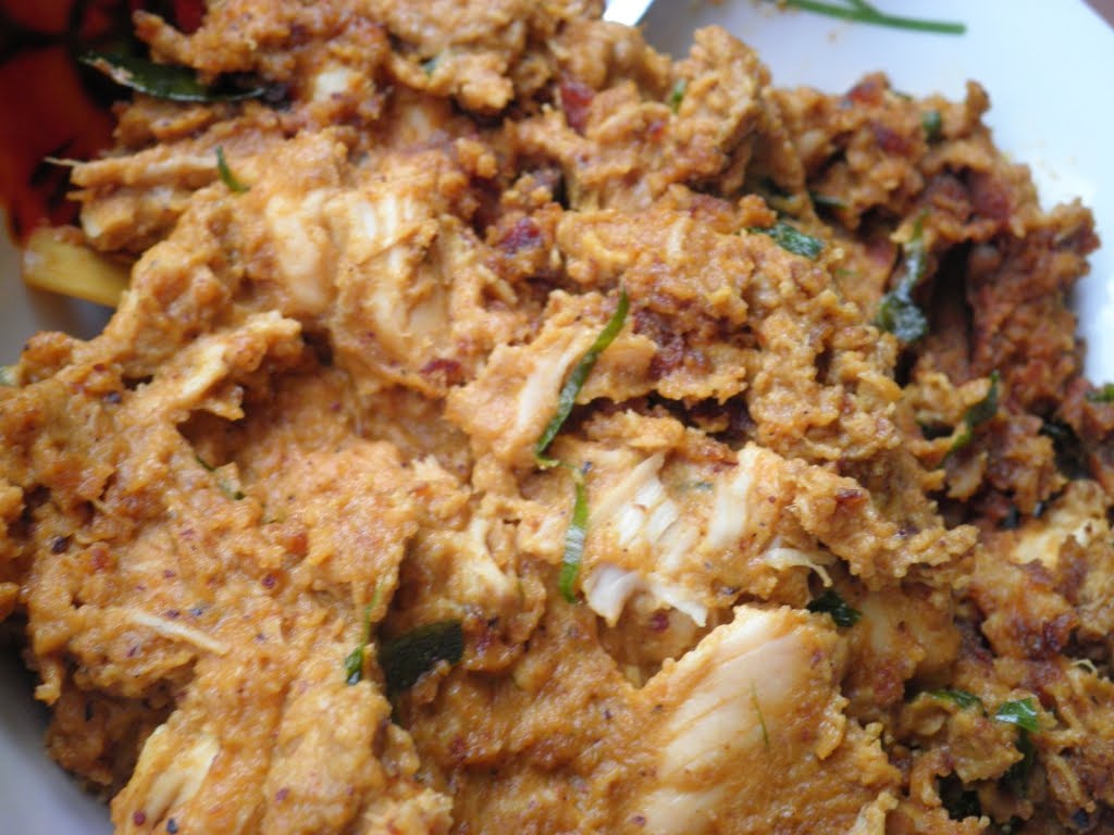 Selipar Polkadot: Rendang made easy using Maggi Rendang Paste :)